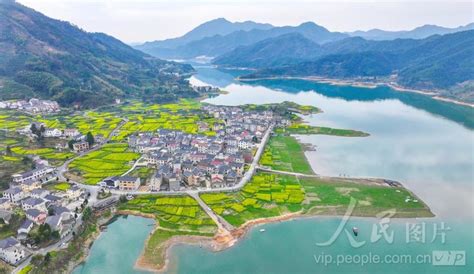 浙江淳安油菜花开 村景如画 人民图片网