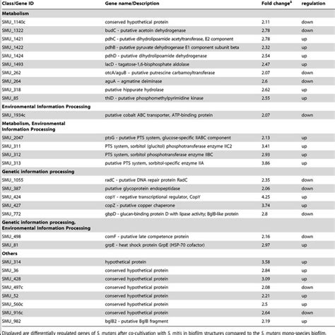 summary of the differential transcript abundances after transcriptome