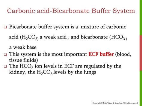 Why Is The Bicarbonate Buffer System Considered An Open Buffer System