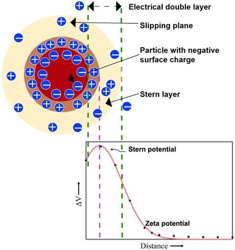 Zeta Potential Assignment Point