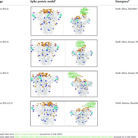 Continued Variants Of Concern Of Sars Cov 2 Download Scientific Diagram