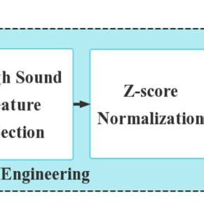 FIGURE The Procedures For Assessing Pulmonary Function Parameters Download Scientific Diagram