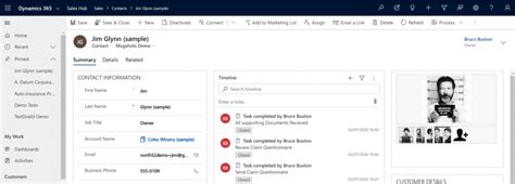 Business Rules Example 265 Show Entity Images On Form Using Quick