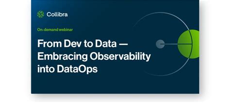 Coco Stanwick Brant On Linkedin From Dev To Data Embracing