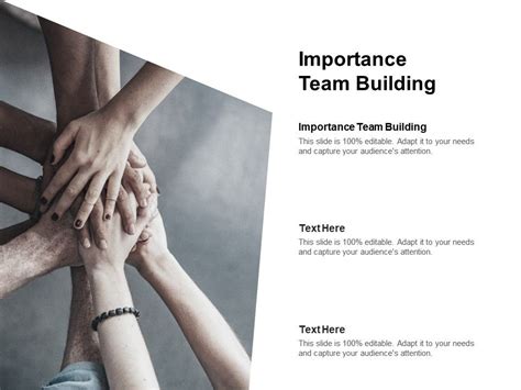 Importance Team Building Ppt Powerpoint Presentation Styles Designs Cpb Presentation Graphics