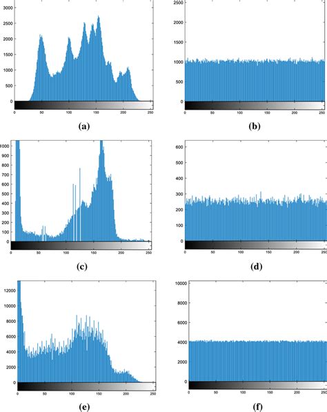 statistical histogram a lena b ciphered lena c cameraman d ciphered