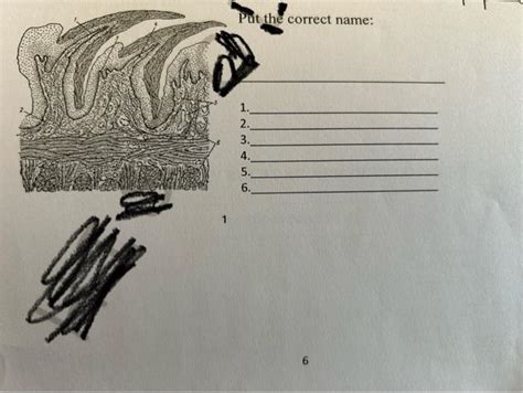 Solved Please Label The Diagram This Is Very Important And
