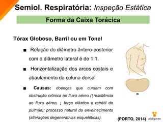 Semiologia Respiratória Exame Clínico Pptx