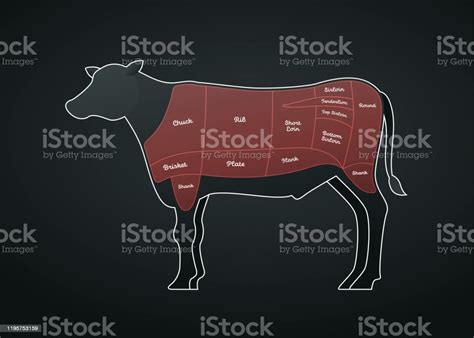 벡터 쇠고기 스테이크 다이어그램 포스터입니다 미국 고기 절단 화이트 모던 스타일 암소 실루엣마크업 빨간색 영역 강조 표시 및 텍스트입니다 카페 메뉴 장식 정육점 다이어그램