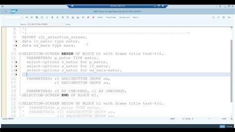 Video 8 Abap Selection Screen Part 1 Youtube