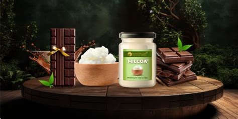 Cocoa Butter Equivalents And Sustainable Speciality Fats And Oils