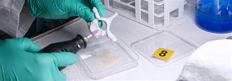 A New Method For DNA Extraction From Bone Samples InnoGenomics