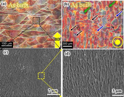 A B Optical Micrographs Of The As Built Microstructure In X Z And