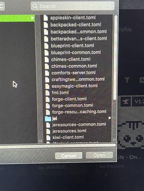 Cant Import Modpack Macos Rcurseforge