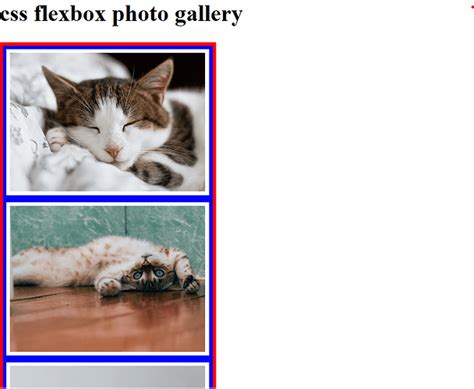 Learn CSS Flexbox By Building A Photo Gallery Step 9 Question HTML CSS The FreeCodeCamp Forum