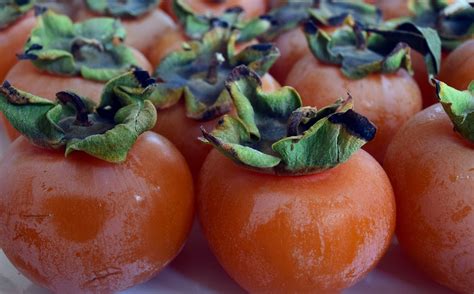 700 Free Tenue Scolaire En Kaki And Aix En Provence Images Pixabay