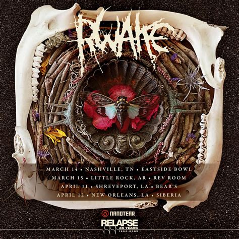 Rwake Electric Python Thetan The Move