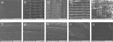 Sem Micrographs Of Fractures Of 1ba Test Specimens Printed In Xy Using