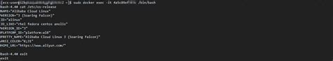 Use An Alibaba Cloud Linux Image In Docker Alibaba Cloud Linux Alibaba Cloud Documentation
