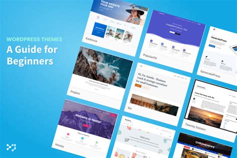 The Initial Setup Of The Kadence Theme The Layout Options Explained