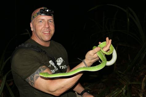 Pythons Dm Exotics