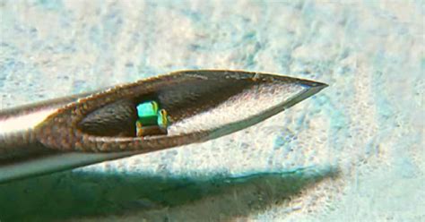 Worlds Tiniest Injectable Chip Can Monitor Medical Conditions And Treat Diseases Elite Readers