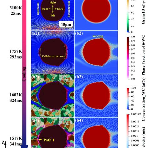 Simulation Of The Microstructure Evolution Around The Wc Particle Under