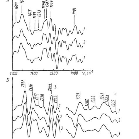Deconvolution Ir Spectra Of Human Serum Albumin In The Frequency Ranges Download Scientific