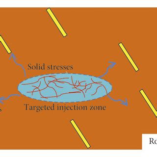 Schematic Of Injection Zone And Its Surrounding Faults Download Scientific Diagram