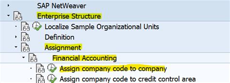 How To Assign Company Code To Company In SAP Sap Com
