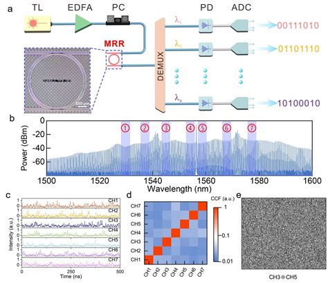 Parallel Physical Random Bit Generation Towards Rates Of Order 100 Tbs