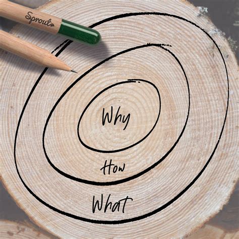 Our Polish Forest Sproutworld