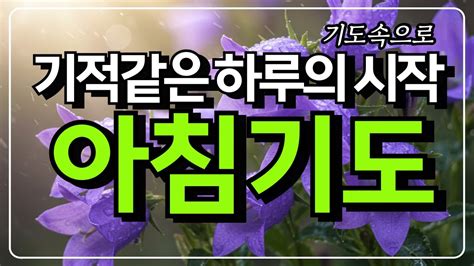 기적같은 하루의 시작 아침기도 ㅣ 아침을 여는 기도 ㅣ 하루를 시작하는 기도 ㅣ 주님께서 열어주신 기적의 하루 Youtube