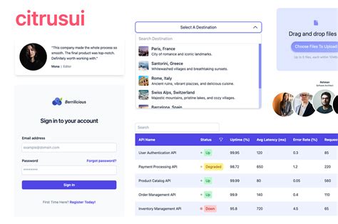 Citrus Ui Copy Paste Component Library Made With Vuejs