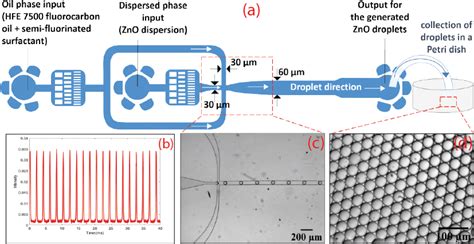 A Schematic Illustration Of The Flow Focusing Microfluidic Design Download Scientific