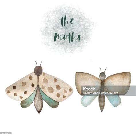 나방 나비의 수채화 그림 수채화로 손으로 그린 모든 유형의 디자인 및 인쇄에 적합합니다 건조한에 대한 스톡 벡터 아트 및 기타