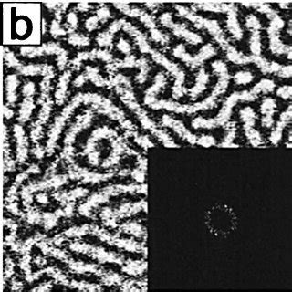 Turing Patterns Obtained In Single Layer Experiments A Pattern Download Scientific Diagram