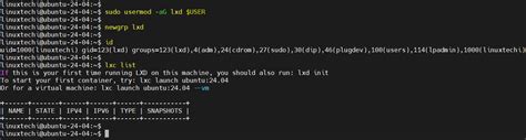 How To Install LXD On Ubuntu 24 04 LTS