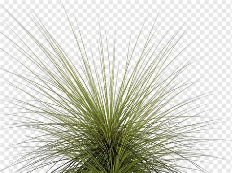 Grass Blade Alpha Prop Grass Patches By Cdrose On Deviantart