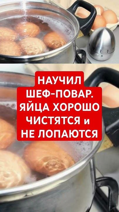 КАК ВАРИТЬ ЯЙЦА ЧТОБЫ ОНИ ХОРОШО ЧИСТИЛИСЬ и НЕ ЛОПАЛИСЬ Cooking Youtube