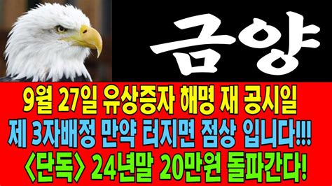금양 금양주가 금양주가전망 류광지 유상증자 재 공시일 차트분석 주식브리핑 수급장 주식투자전략 조프로 상승할수있는 종목 분석 2차전지 제약바이오 Youtube