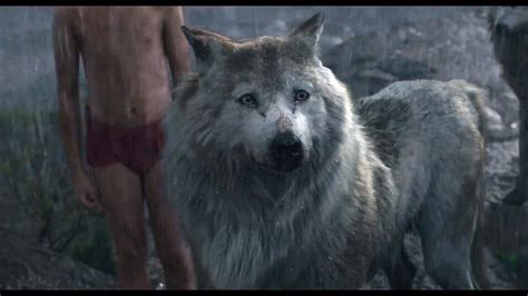 Raksha Jungle Book