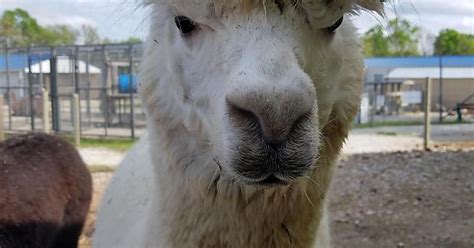 i have done my very best to make friends with people and connect none of these attempts have