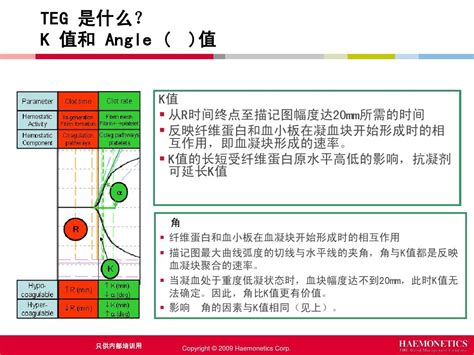 血栓弹力图 word文档在线阅读与下载 免费文档