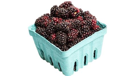 What Is A Marionberry The Table By Harry And David