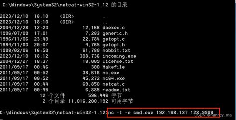 ncat：安全网络工具与加密连接应用 csdn博客