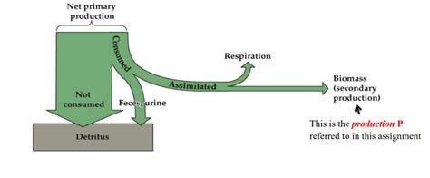 Solved Please Answer The Assignment Questions By Using The