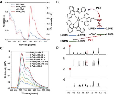 Leveraging Tumor Microenvironment To Boost Synergistic Photodynamic