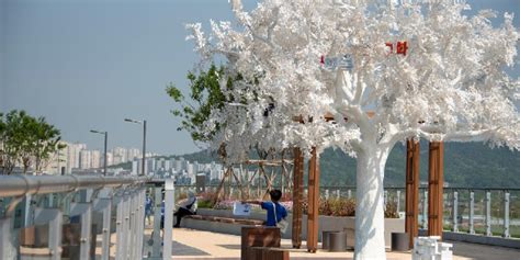한글 본딴 건축물 도시 곳곳에 한글날에 세종시 이응다리 걷기 어때